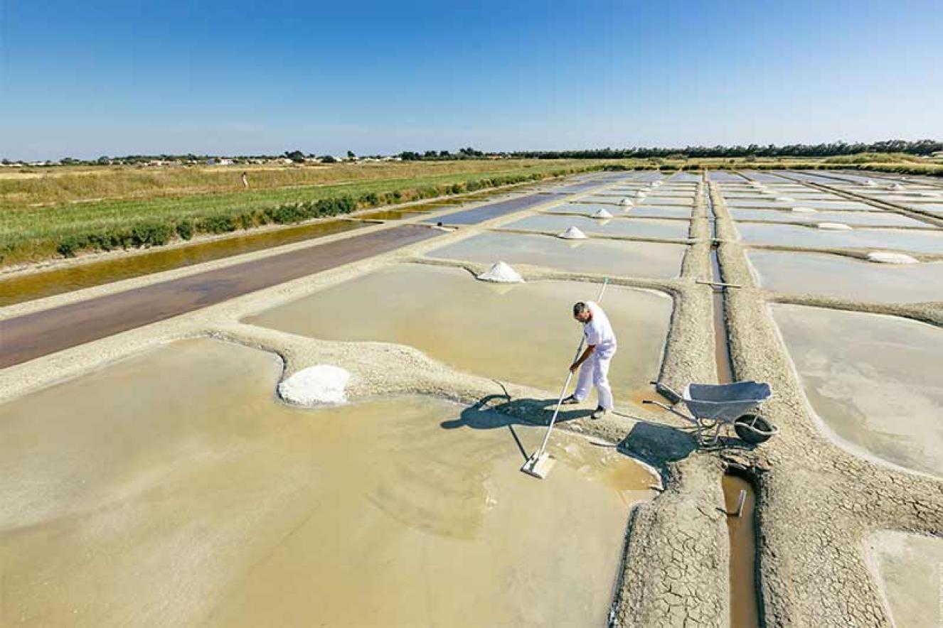 Les Marais Salants de l'Île de Noirmoutier